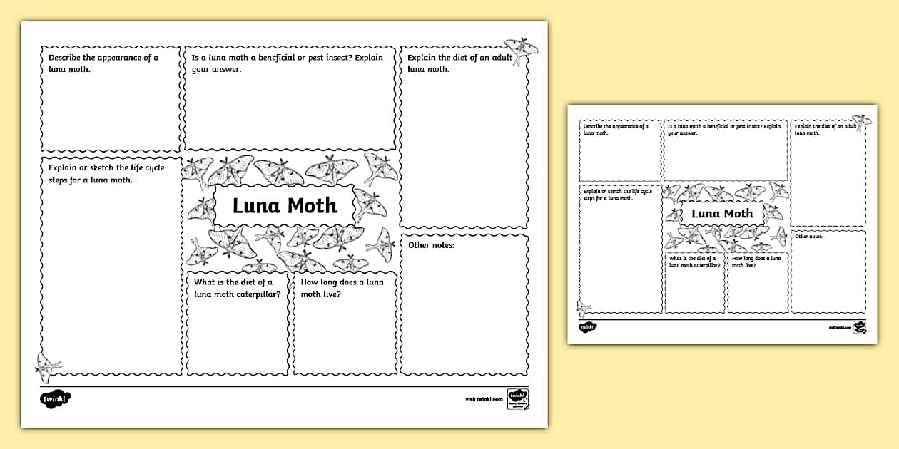Luna Moth Mind Map Worksheet for 6th-8th Grade - Twinkl