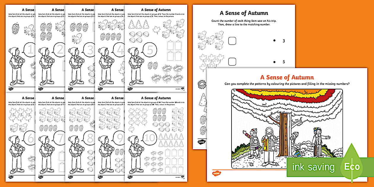 A Sense of Autumn Maths Activity Pack (teacher made)