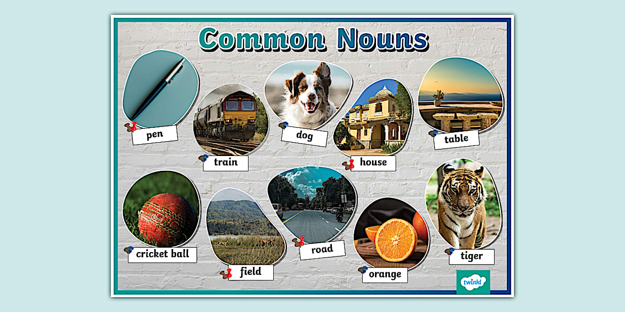 Common Nouns Photo Display Poster (Teacher-Made) - Twinkl