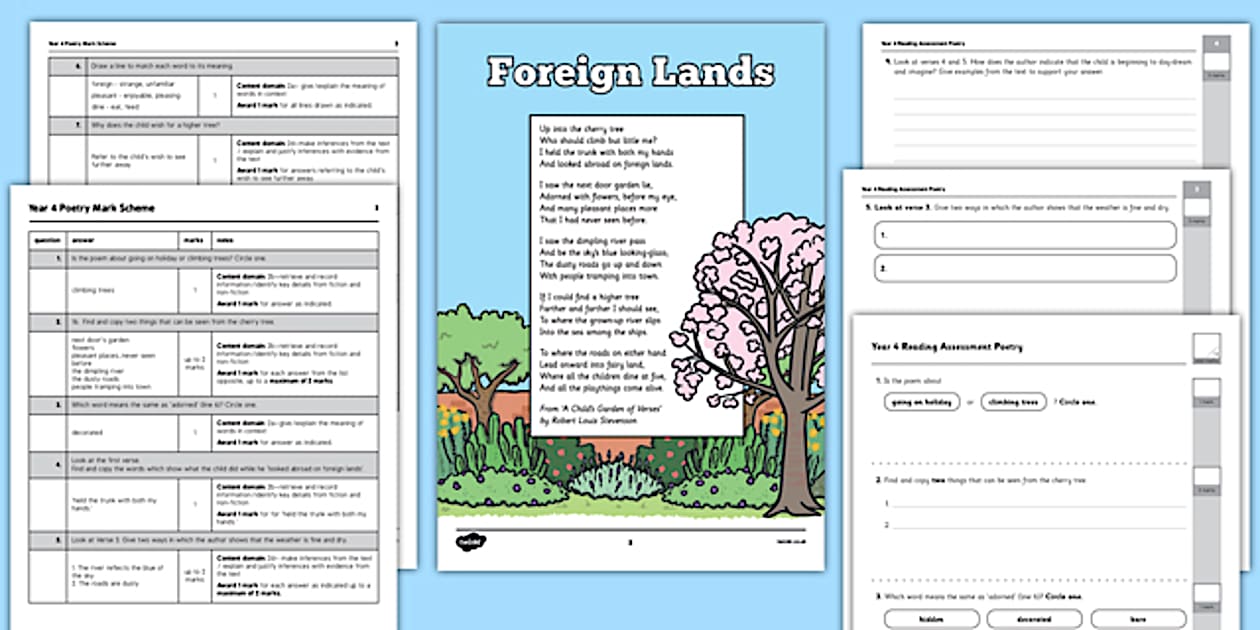 Year 4 Term 3 Poetry Reading Assessment (teacher made)
