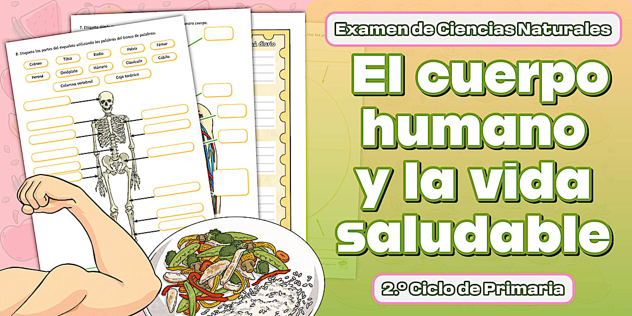 Examen de Ciencias Naturales: El cuerpo humano y la vida saludable - 2 ...