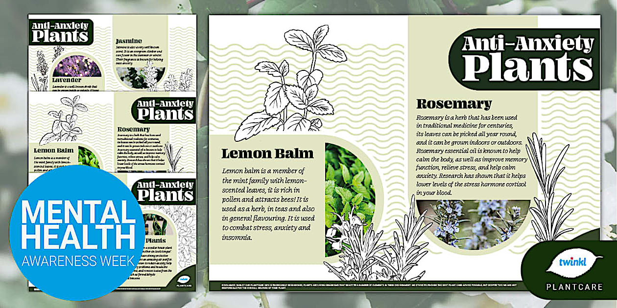 Anti-Anxiety Plants, Mental Health Awareness Week - Twinkl