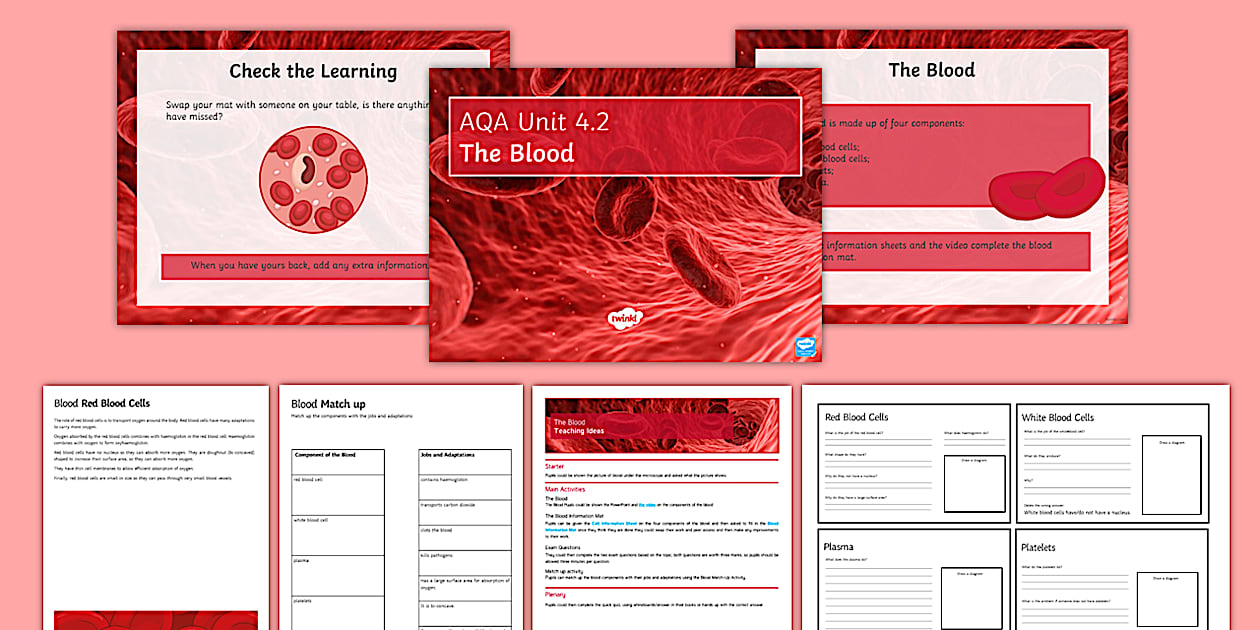 AQA Biology Unit 2 The Blood Cover Lesson Pack - Twinkl
