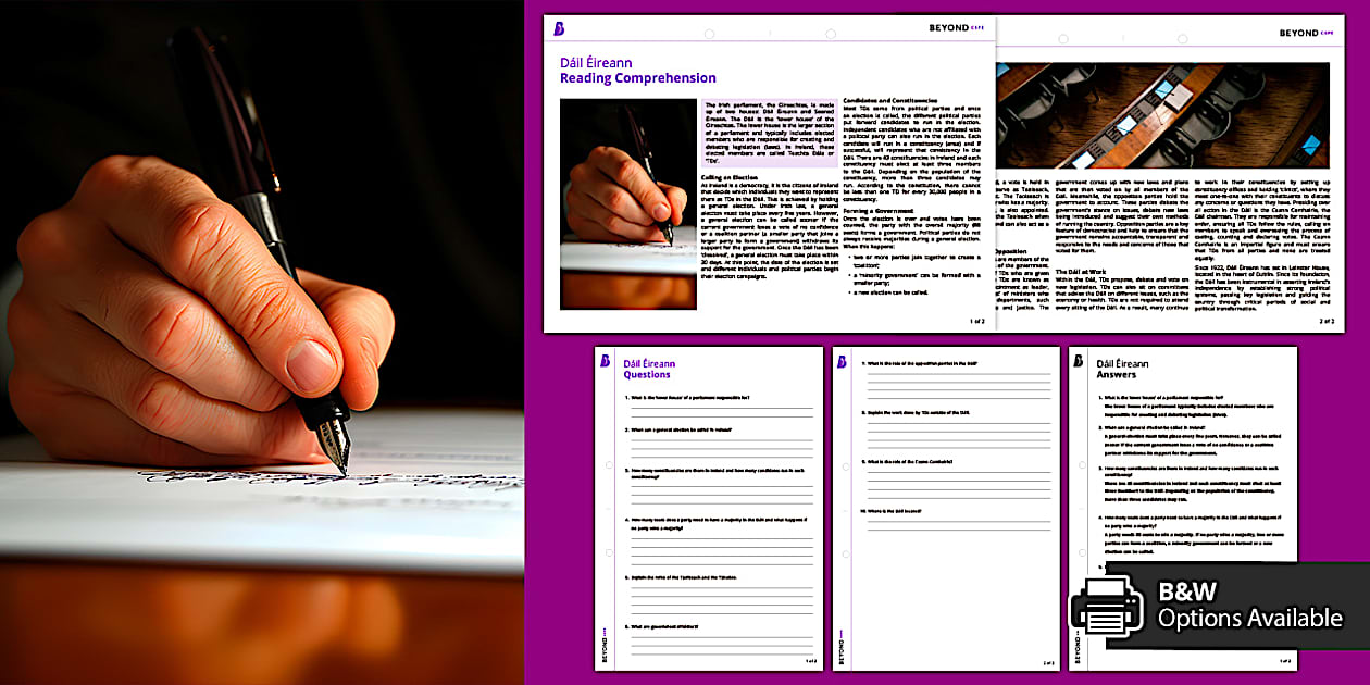 Dáil Éireann Reading Comprehension (teacher made) - Twinkl
