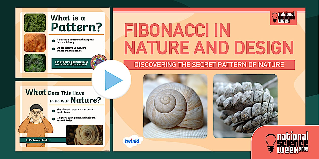 Fibonacci in Nature and Design PowerPoint (Lehrer gemacht)