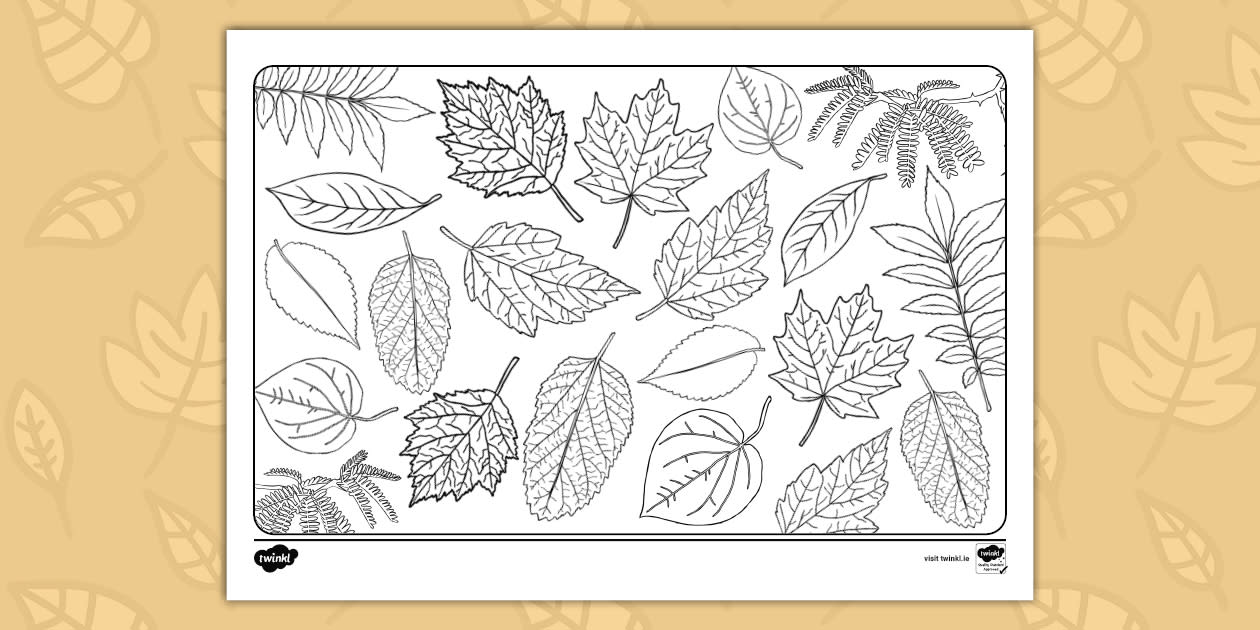 Leaves Colouring Doodles Sheet - Twinkl Colouring - Twinkl