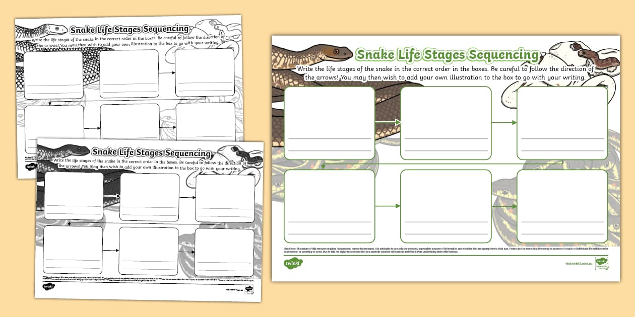 Snake Life Stages Sequencing Mind Map (Teacher-Made)