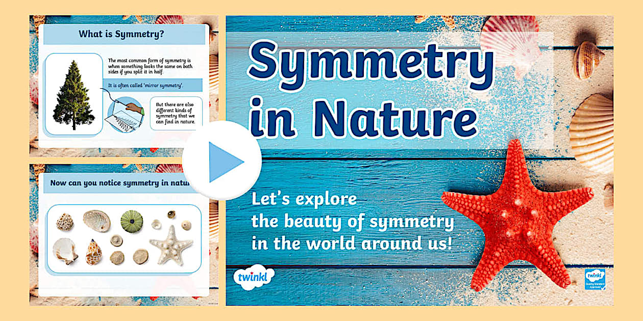 Symmetry in Nature PowerPoint (teacher made) - Twinkl