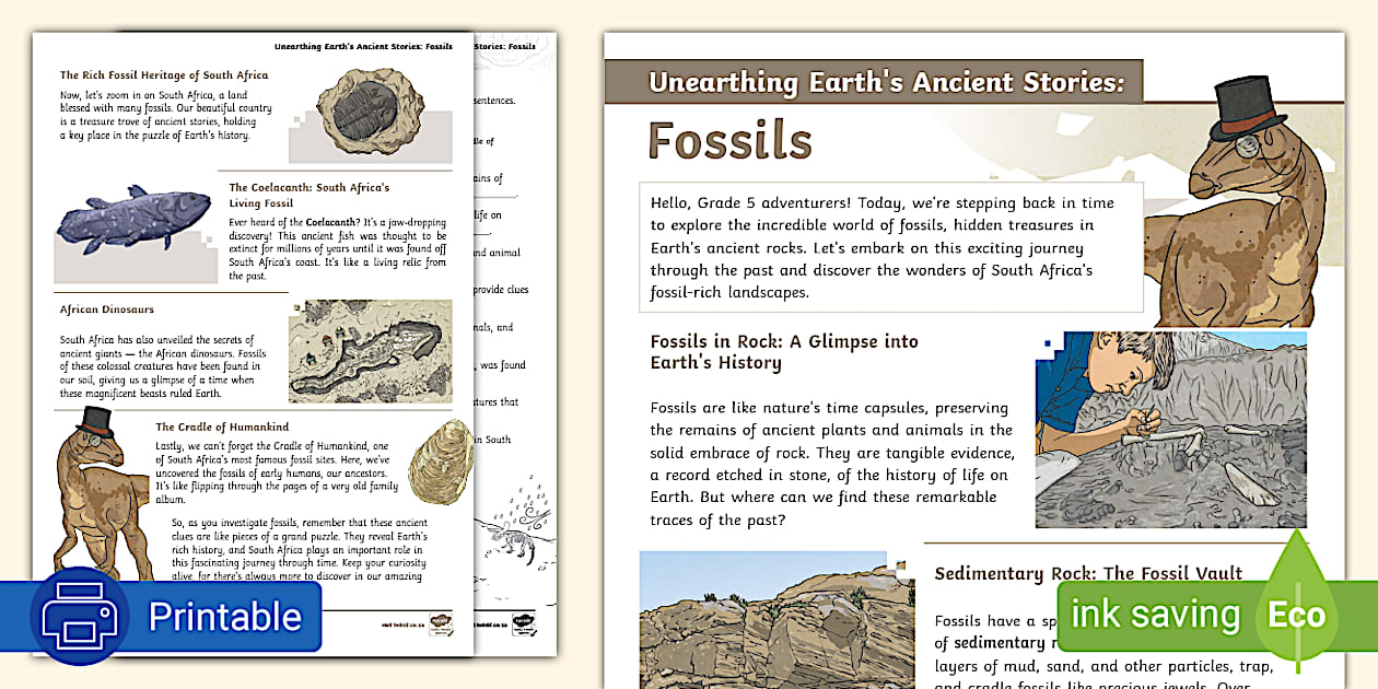 Unearthing Earth's Ancient Stories: Fossils - Twinkl