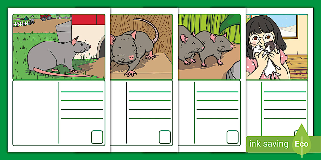 Rat Themed Postcards | Rat Postcards (Teacher-Made) - Twinkl