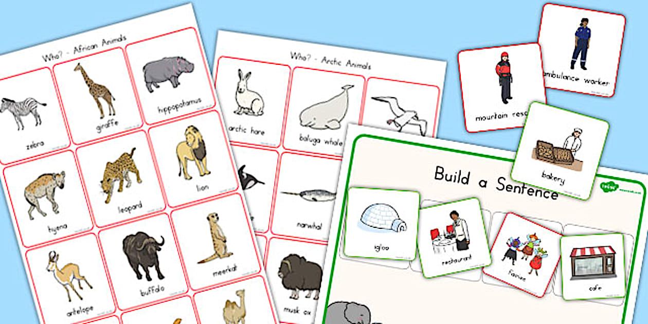 Question Word Activity Pack (teacher made) - Twinkl