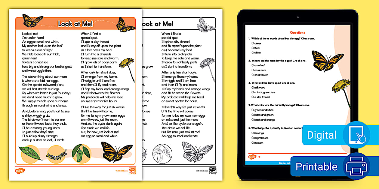 Butterfly Poem | All About Spring Season | Twinkl USA
