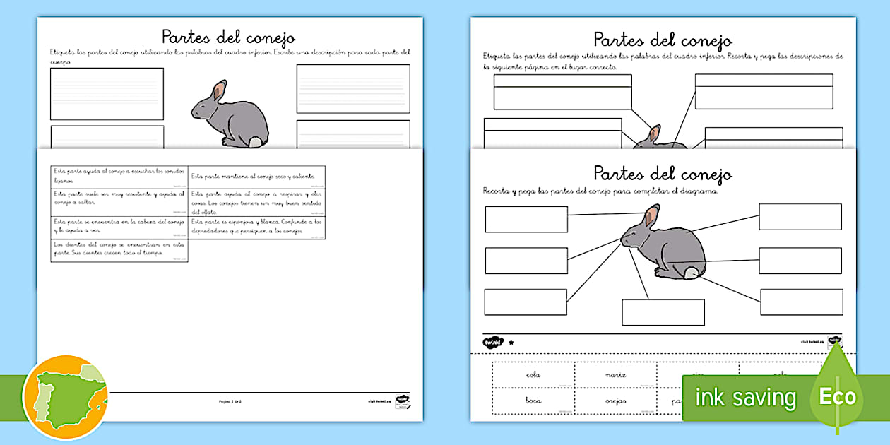 las partes de un conejo Ficha de actividad por niveles