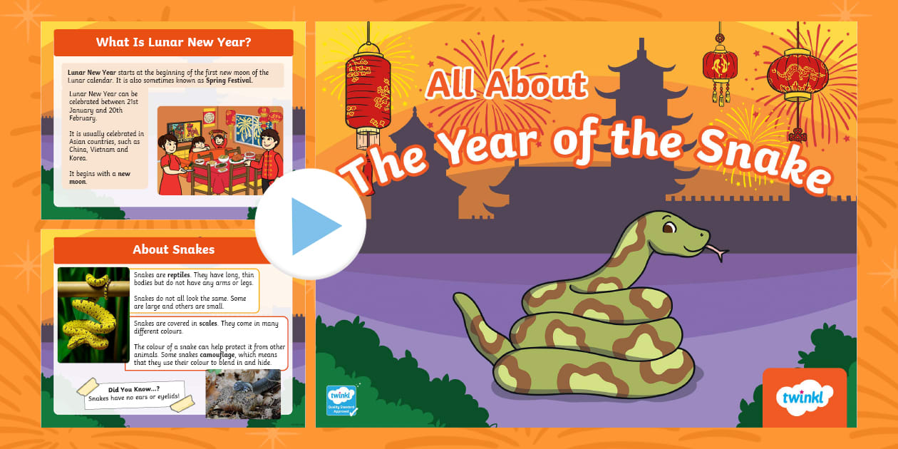 EYFS All About Snakes Lunar New Year PowerPoint | Twinkl