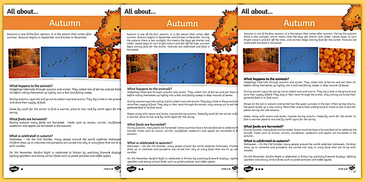 Editable Autumn Differentiated Fact File (Teacher-Made)