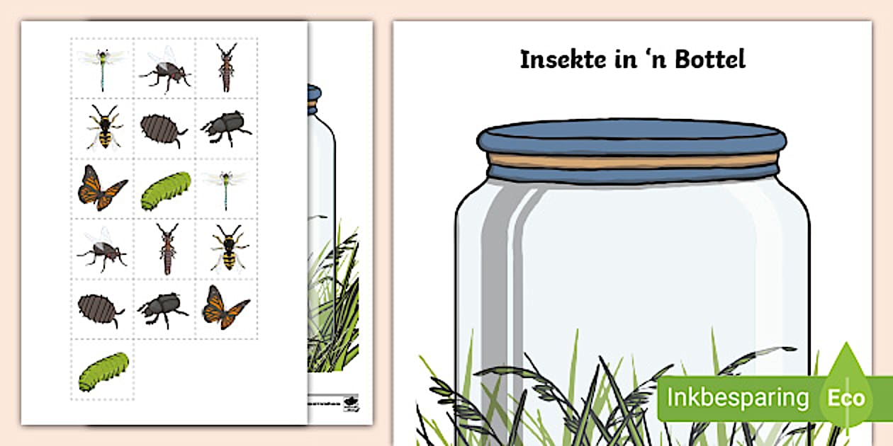 Insekte In 'n Bottel Aktiwiteit (teacher made) - Twinkl
