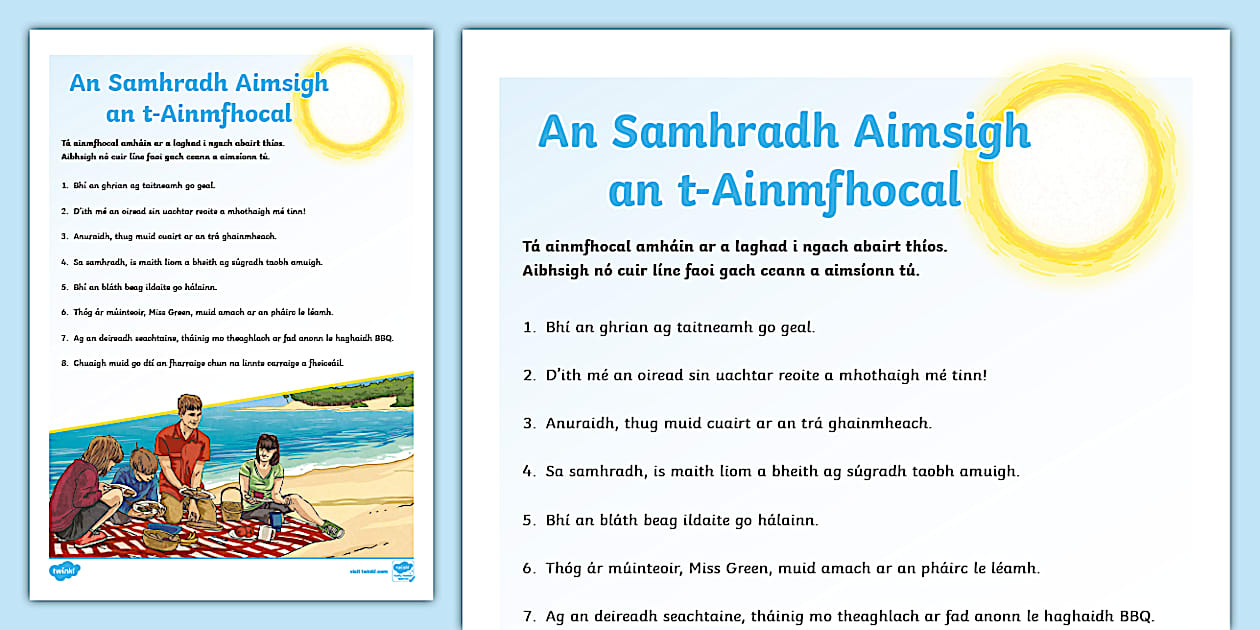 An Samhradh Aimsigh an t-Ainmfhocal (teacher made) - Twinkl