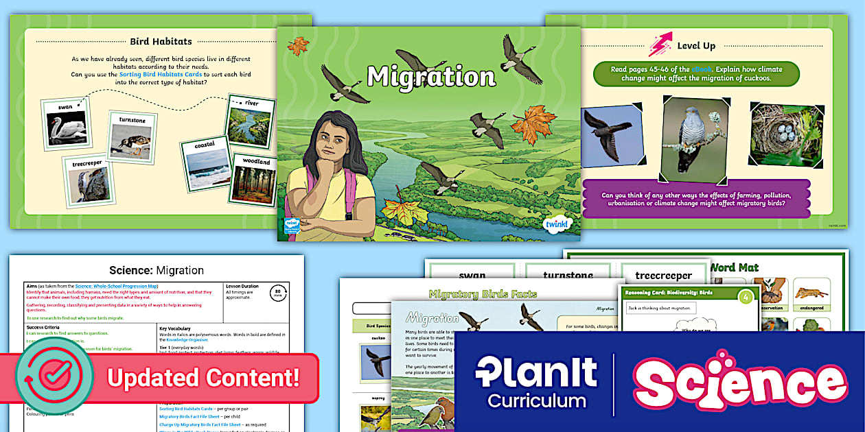 Y3 Biodiversity Birds Migration Lesson 4