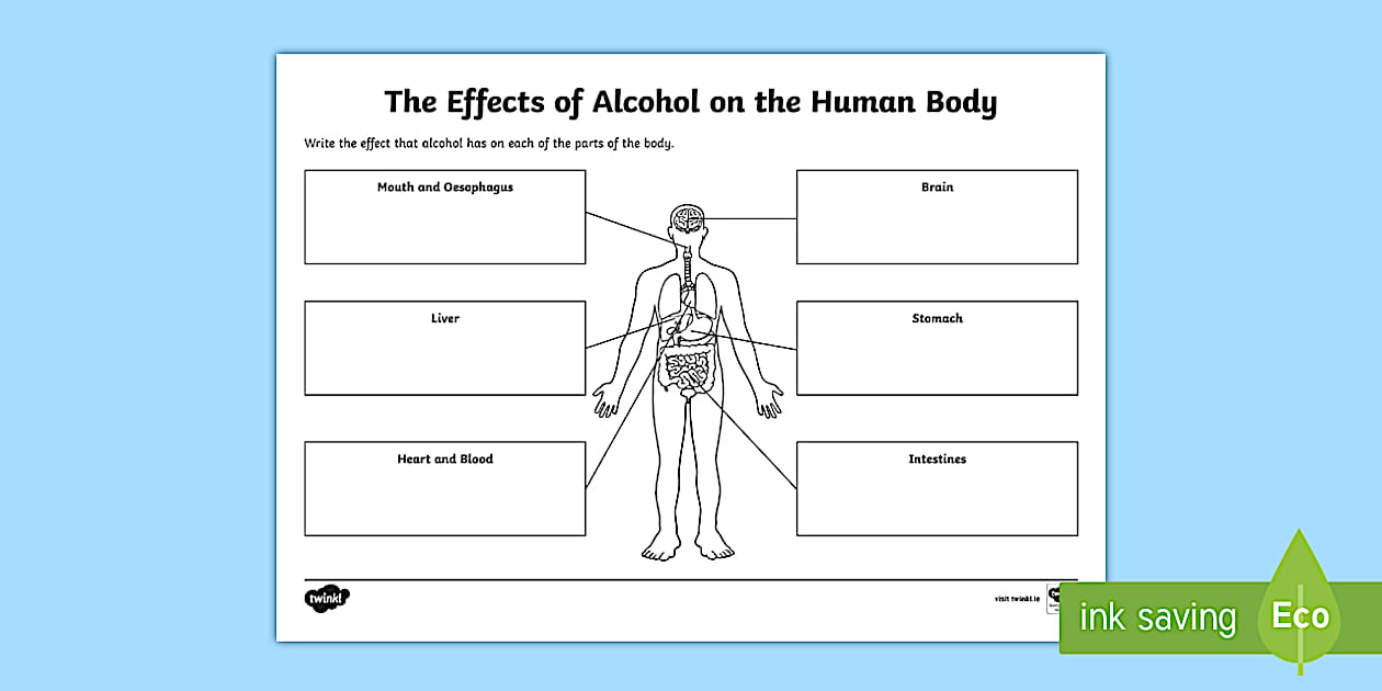 The Effects of Alcohol on the Body Worksheet (teacher made)
