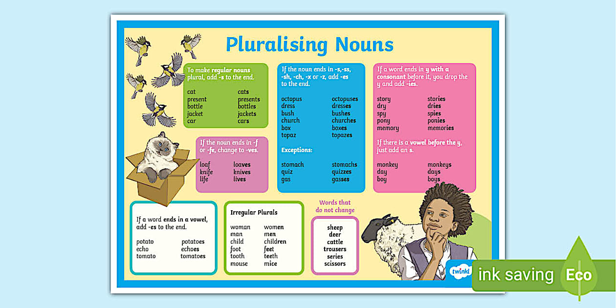 Editable Pluralising Nouns Poster (teacher made) - Twinkl