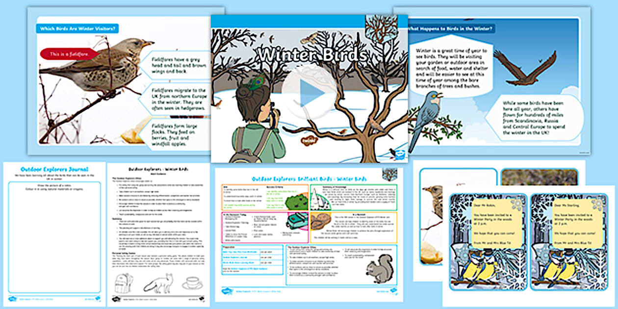 Outdoor Explorers EYFS Winter Lesson 5 Winter Birds - Twinkl