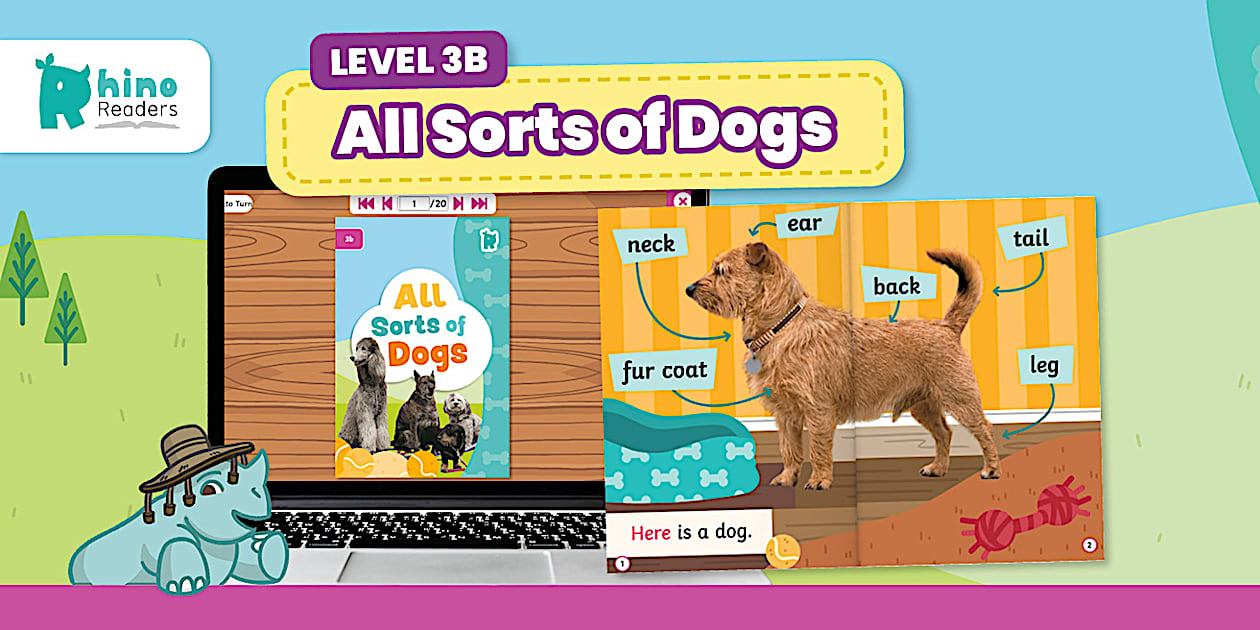 Level 3b Decodable Readers: All Sorts of Dogs