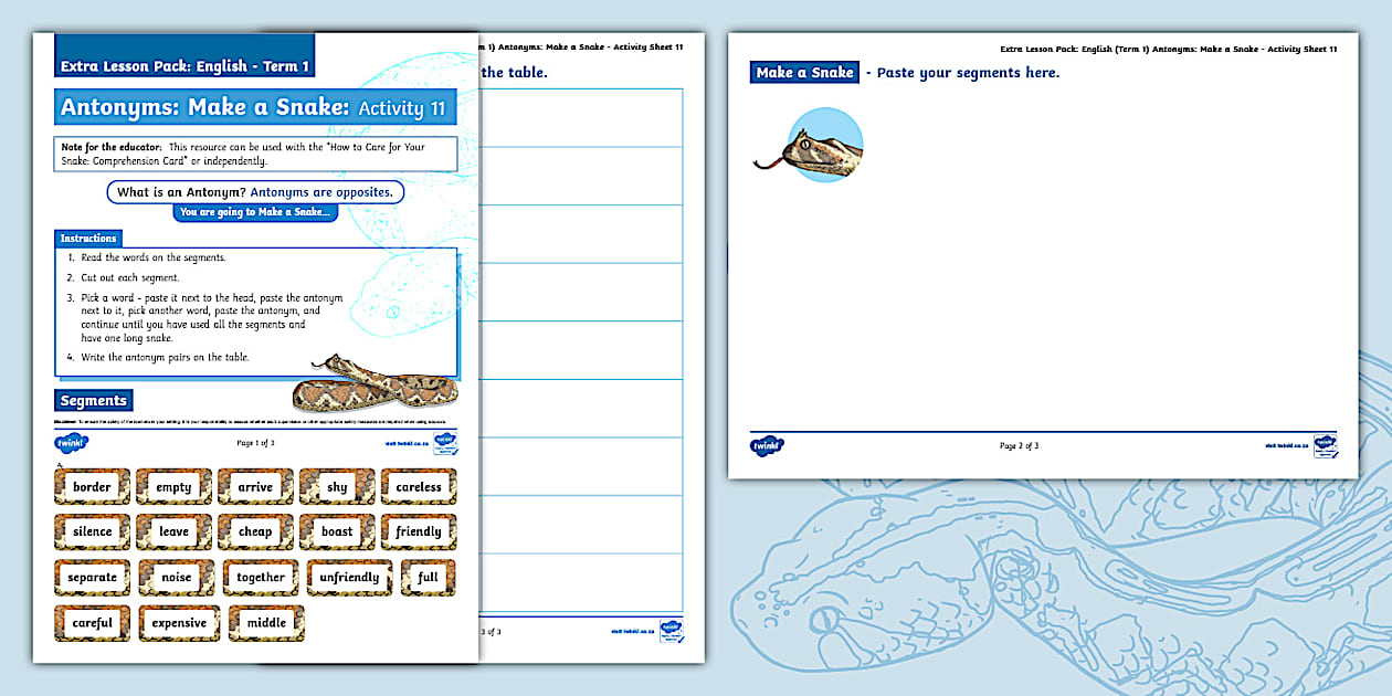 Synonyms And Antonyms Worksheet - Twinkl South Africa