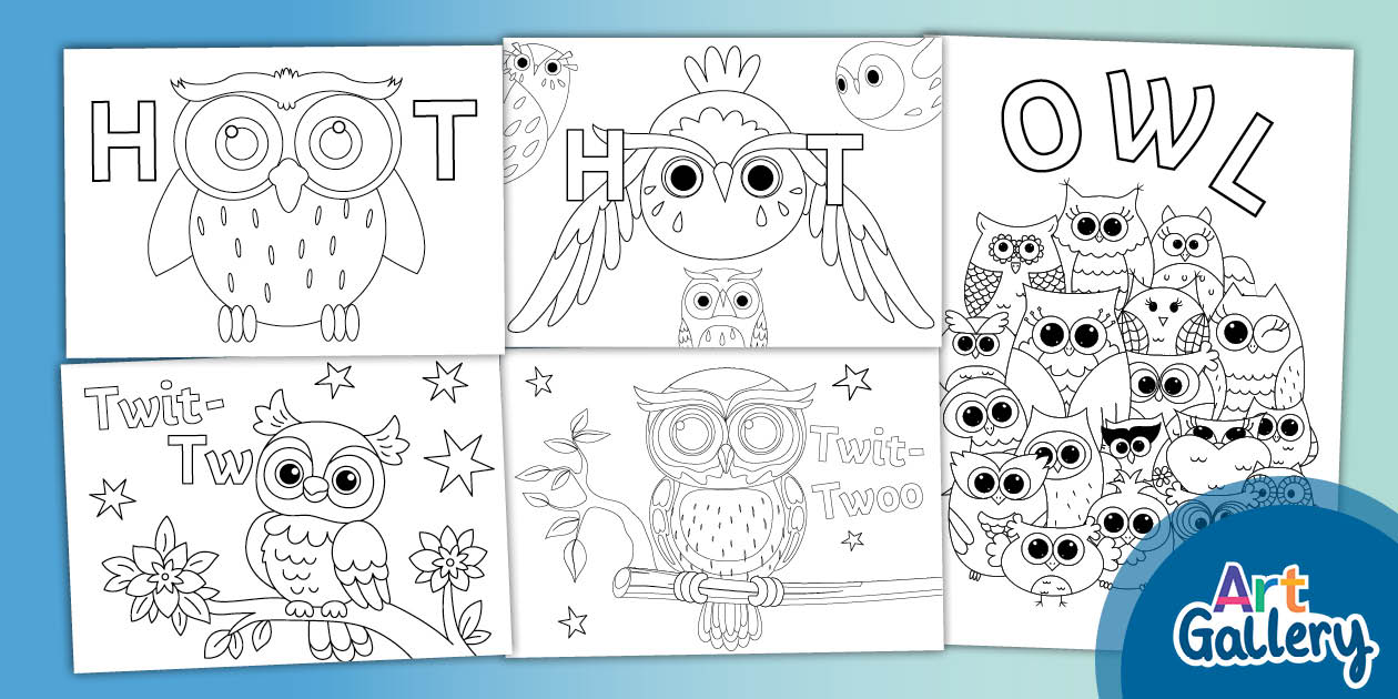 Owl Colouring Activity Poster (teacher made) - Twinkl