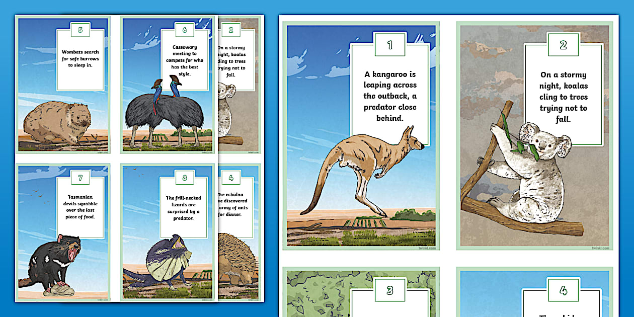 Australian Animals Freeze Frame Drama Flashcards - Twinkl