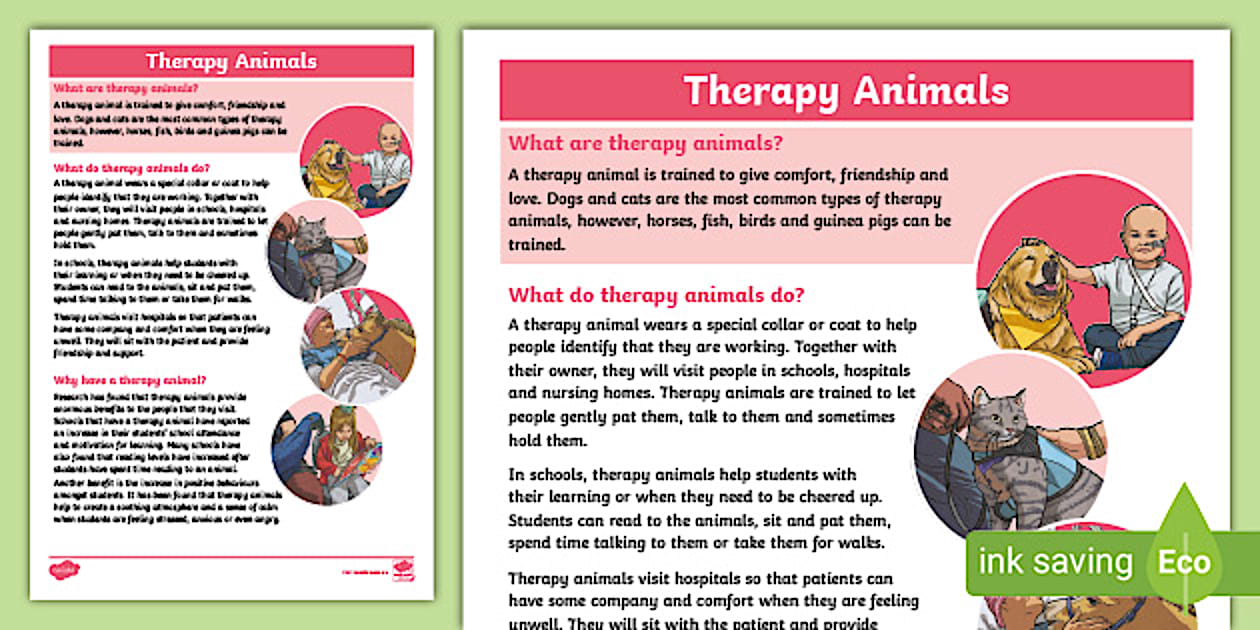 Therapy Animal Fact File - Twinkl