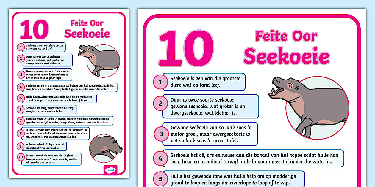 10 Feite Oor Seekoeie (teacher made) - Twinkl