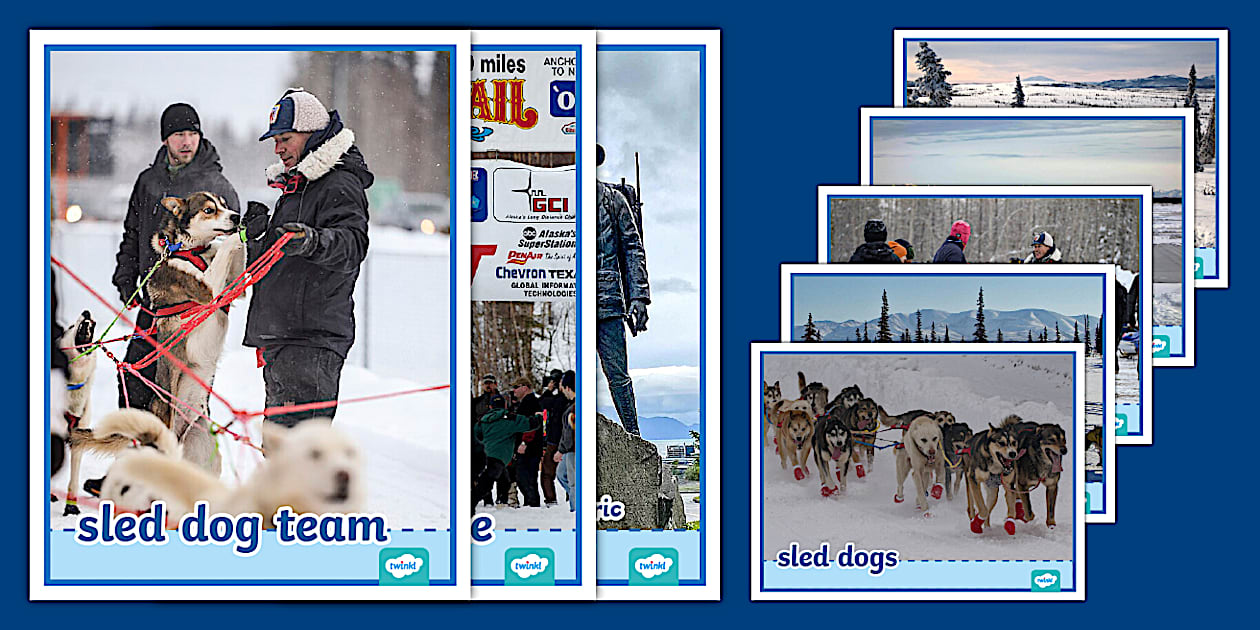 Iditarod Photos (teacher made) - Twinkl