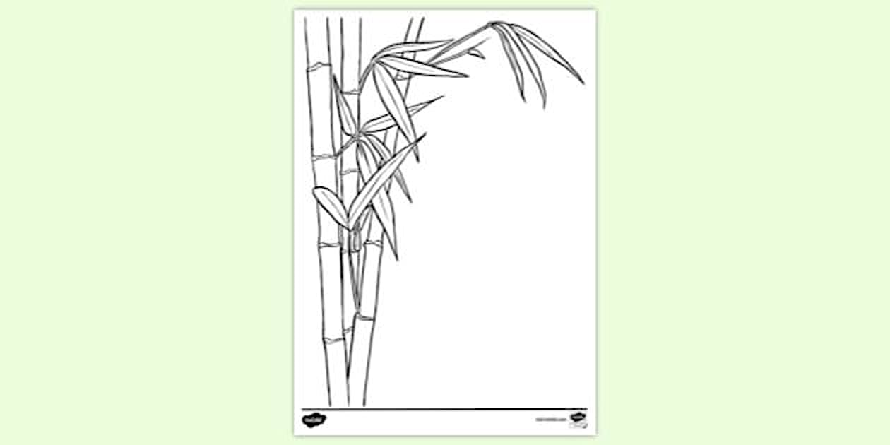 Bamboo Stick Stalk Shoot Plant Colouring Sheet - Twinkl