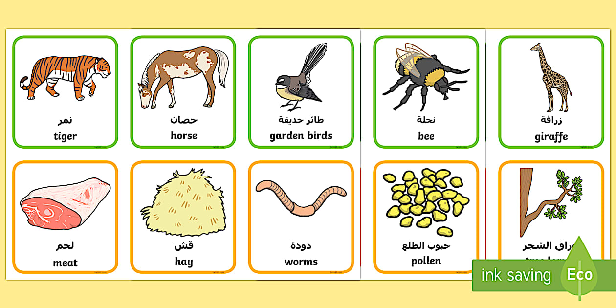 Animals and What They Eat Matching Cards Arabic/English