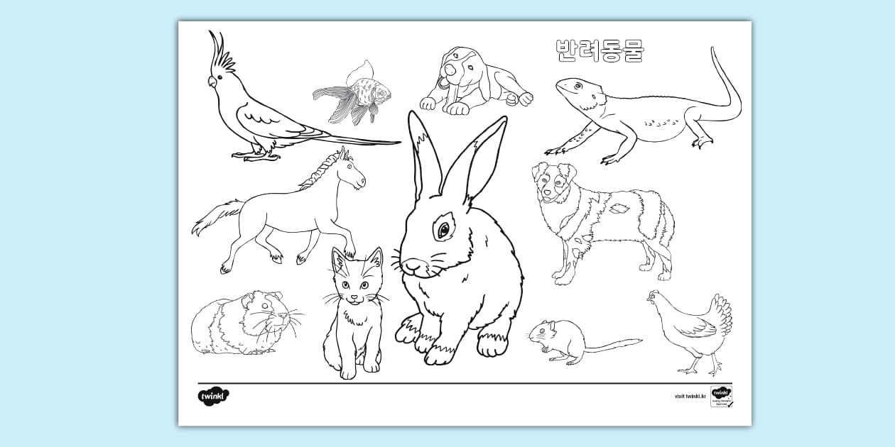 반려동물 색칠놀이 | Pets Coloring Sheet - Twinkl