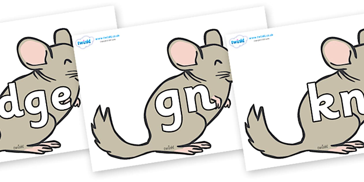 Silent Letters on Chinchillas
