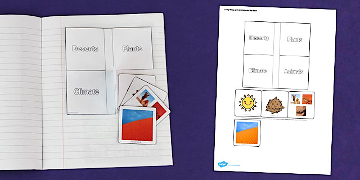 Living Things and their Habitats Desert Flap Book - Desert