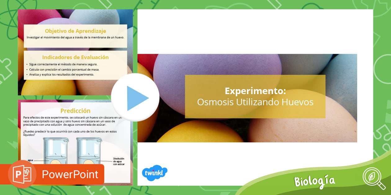 PPT | Osmosis | Experimento | 8° Básico | Huevo | Membrana