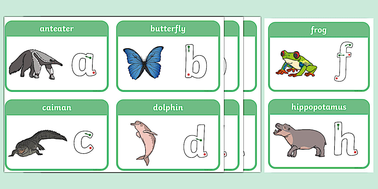Jungle Animals Initial Letter Formation Cards | Twinkl