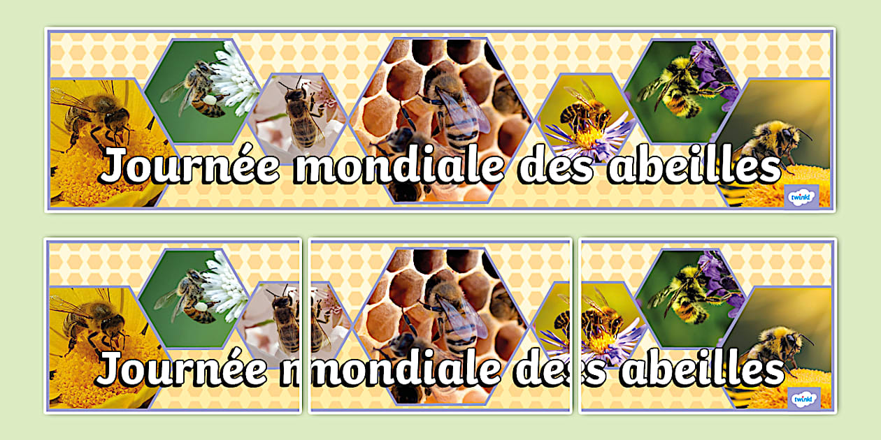 Banderole d'affichage : Journée mondiale des abeilles