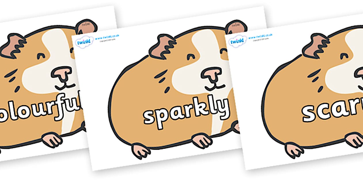 Wow Words on Guinea Pigs (Teacher-Made) - Twinkl