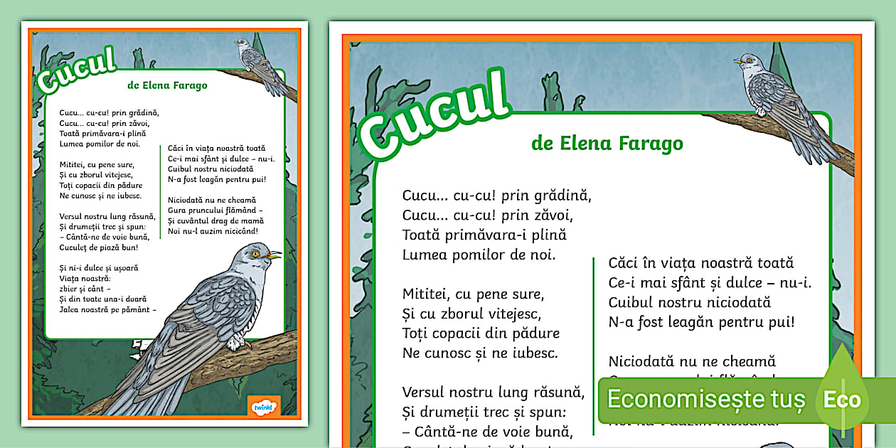 Cucul de Elena Farago – Planșă