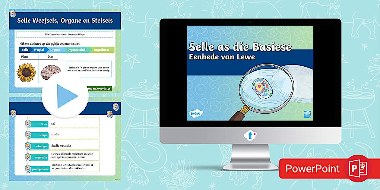 Selle as die Basiese Eenhede van Lewe (teacher made)
