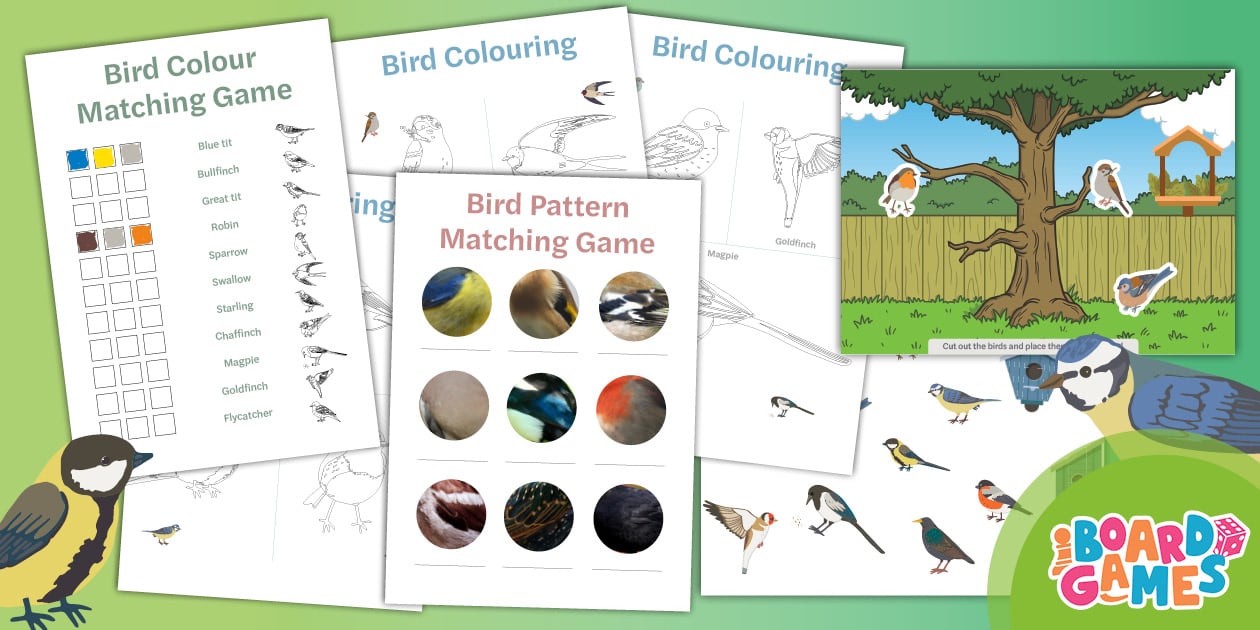 British Birds Colour Match Board Game (teacher made)