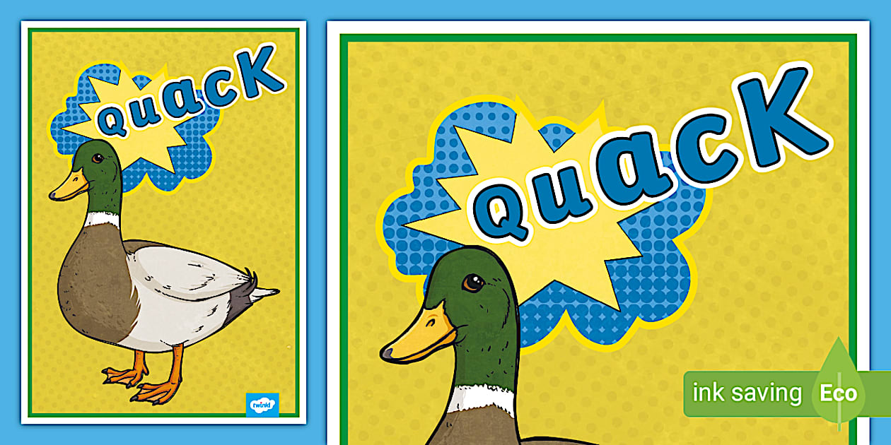 Duck Pop Art Display Poster (teacher made) - Twinkl