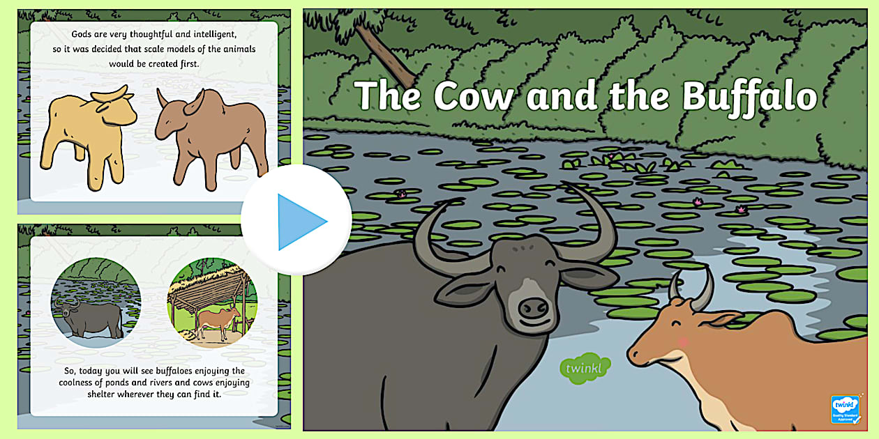 The Cow and the Buffalo PowerPoint - Traditional Thai Tales