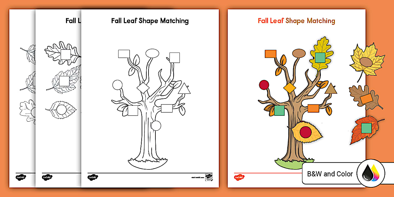 Fall Leaf Shape Matching Worksheet (teacher made) - Twinkl