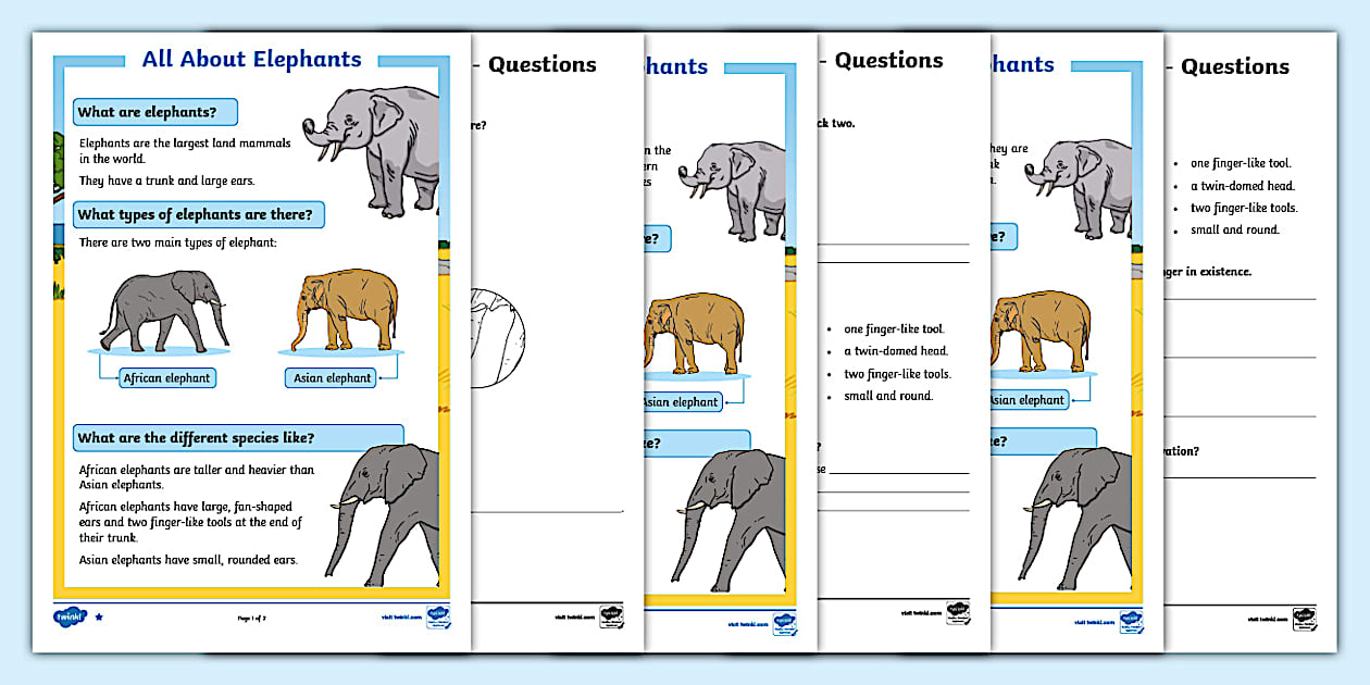 All About Elephants Differentiated Reading Comprehension