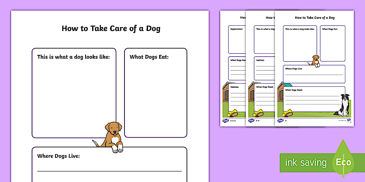 How to Take Care of a Dog Fact Sheet - Primary Resource