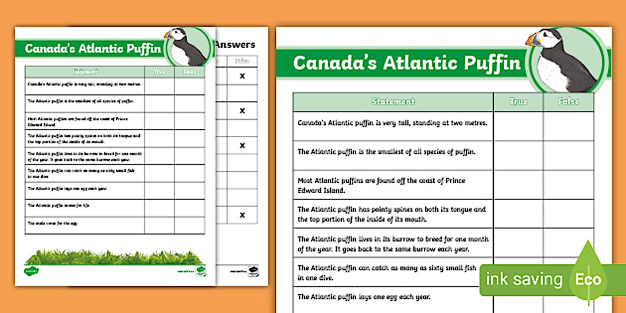 Atlantic Puffin True or False Activity - Grades 4-6 - Twinkl